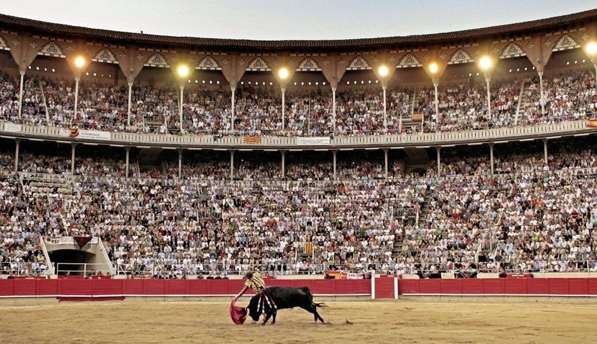 ¿La Tauromaquia es arte y cultura? – La Tinta Oaxaca