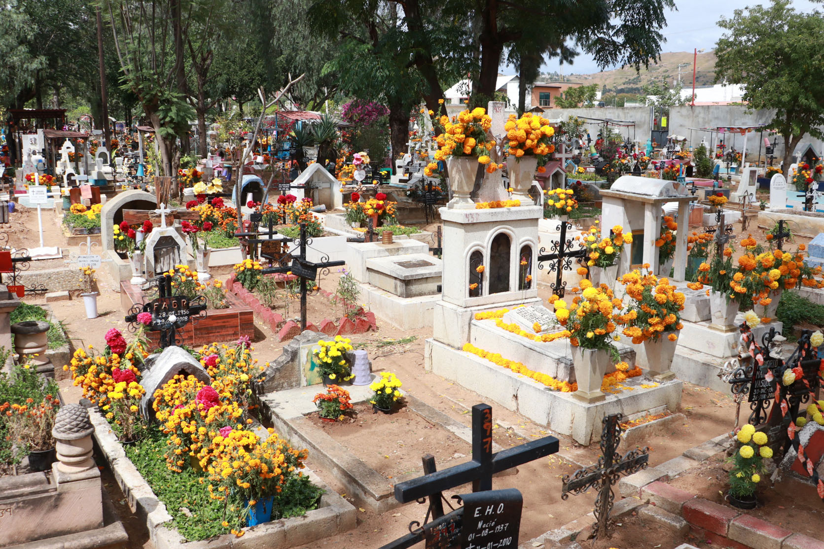 Abrirán los panteones en Oaxaca al público para la celebración de ...